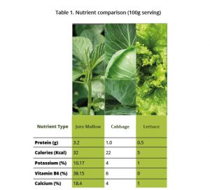 Rediscovering the Jute Mallow...a forgotten food - FARA Africa